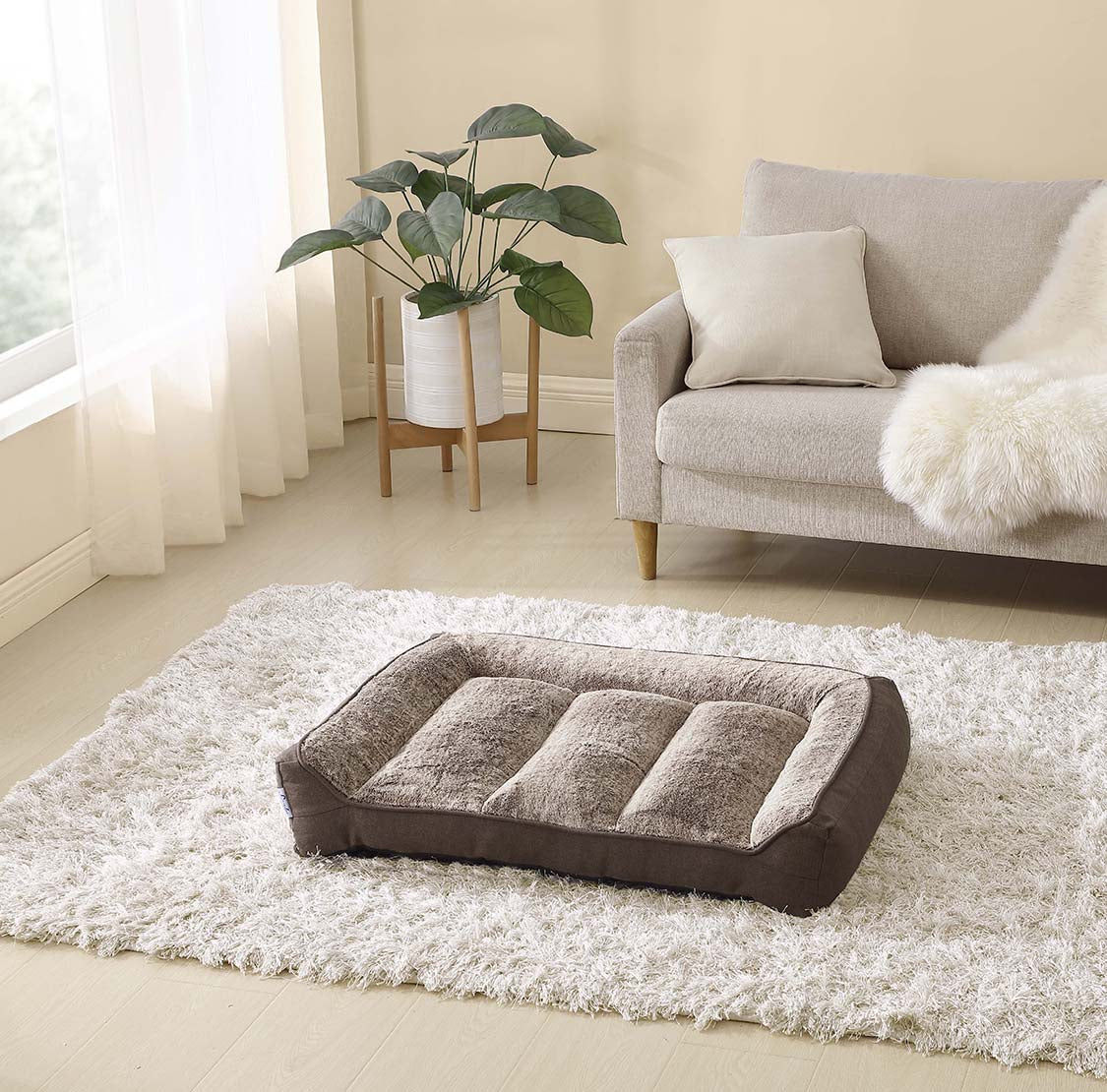 Sealy® Supportive Pet Mattress Brown – www.sealypet.com